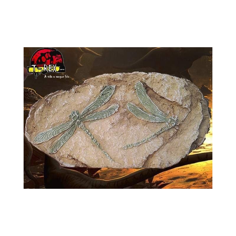 Arte Única para sua Casa: Escultura Fóssil de Libélulas em Oferta!.